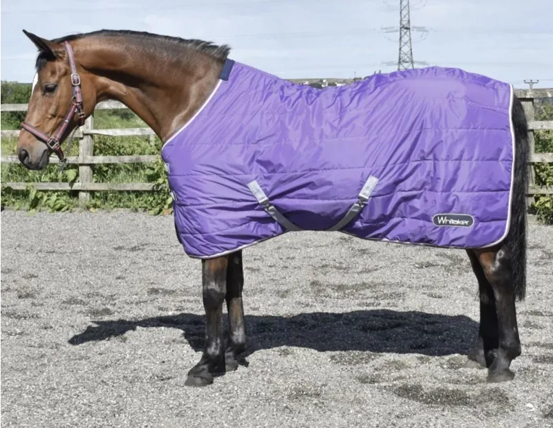 Whitaker Crompton Purple 100g Stable rug
